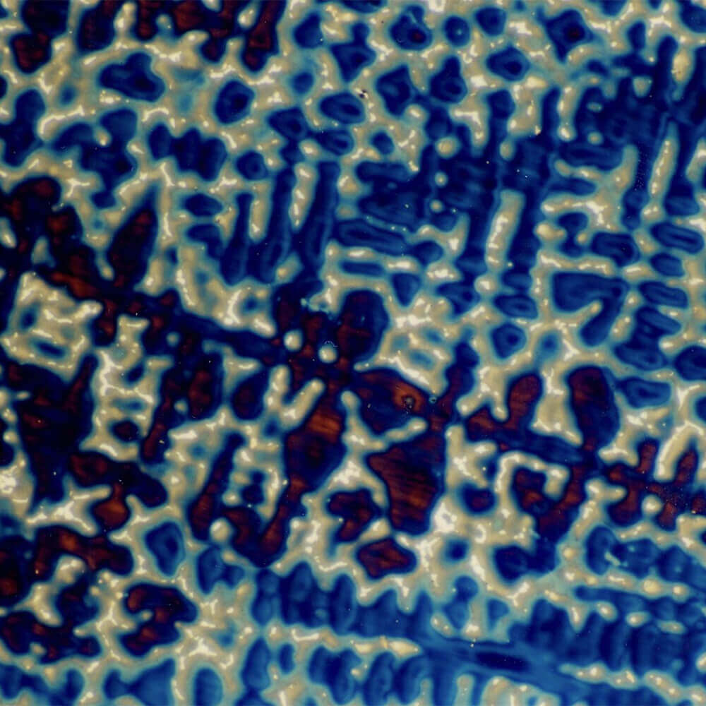 网络研讨会注册 – Buehler – 用于样品制备的金相设备和用品